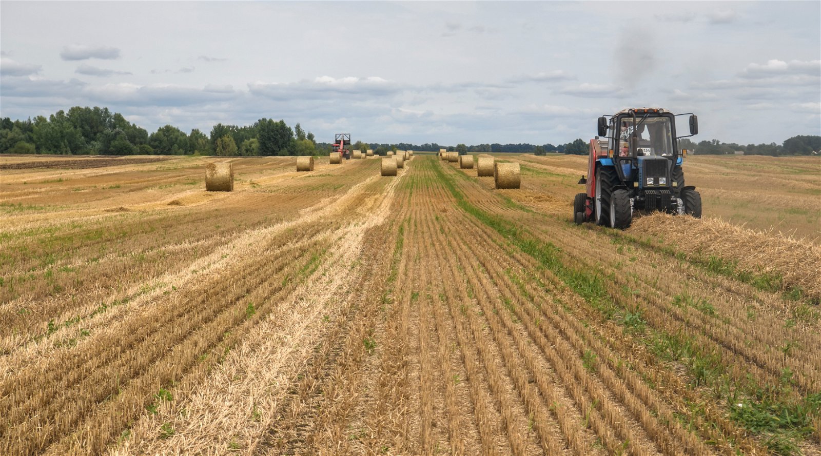 \"Siberië zit vol met investeringskansen voor de landbouw\".