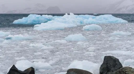 Salinité Antarctique en hausse, montée des mers accrue