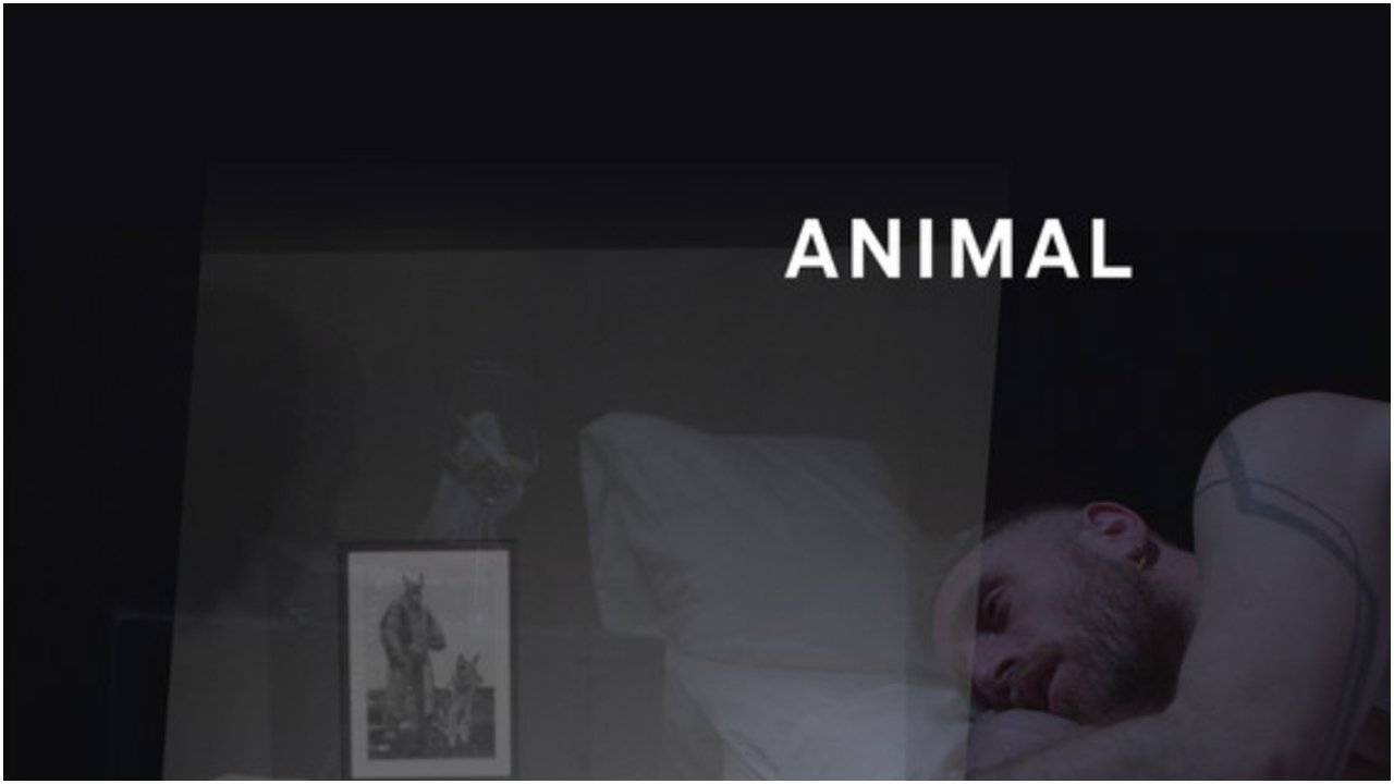 Arsenal lanceert nieuwe single 'Animal', een nieuw album volgt op 30 ...