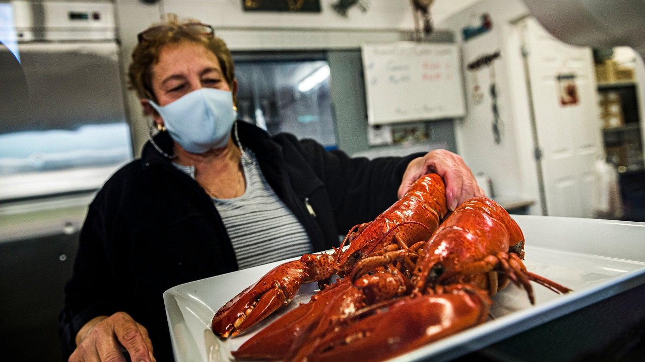 Kreeften levend koken binnenkort illegaal in UK nu onderzoek aantoont ...