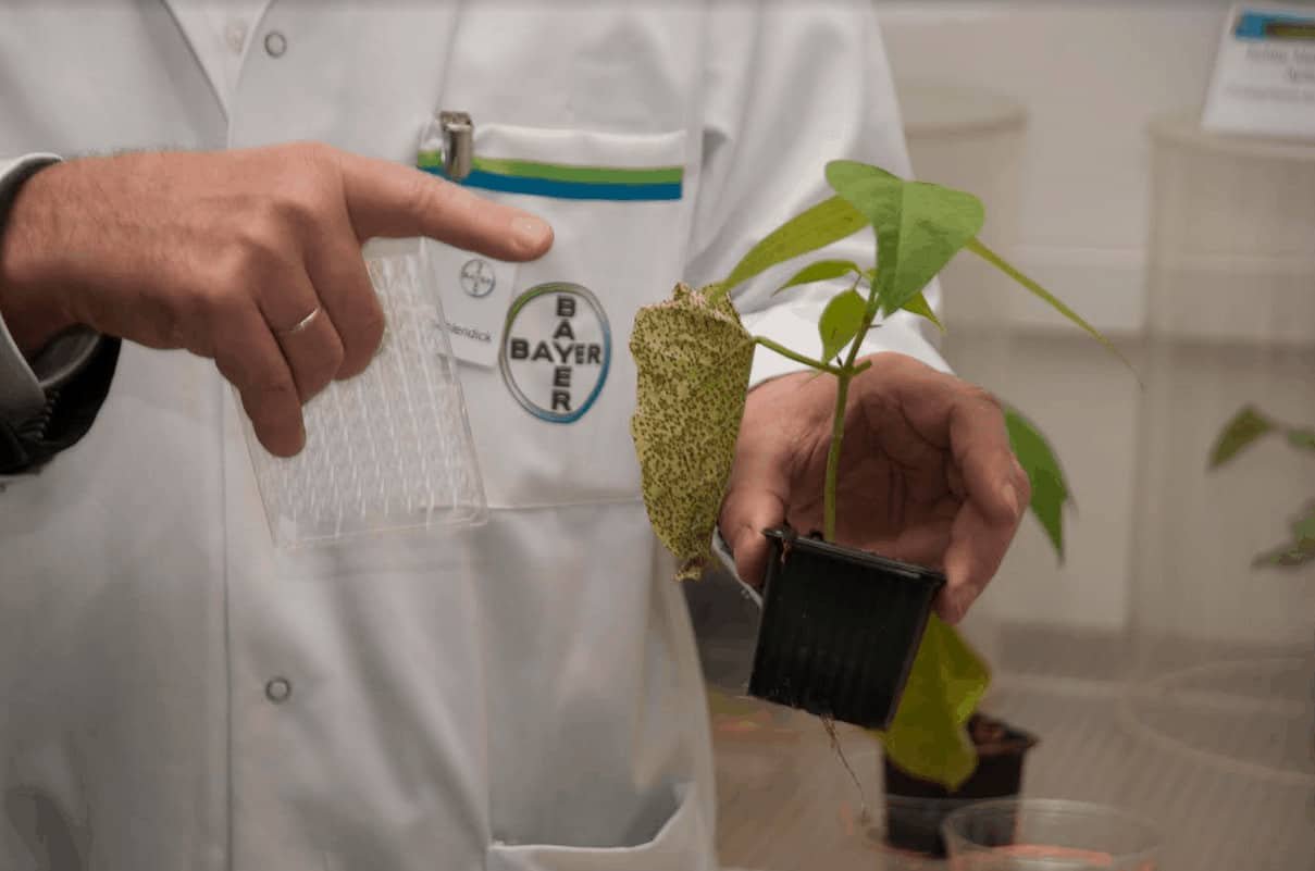 Pourquoi les entreprises allemandes ont-elles tant de difficultés ...