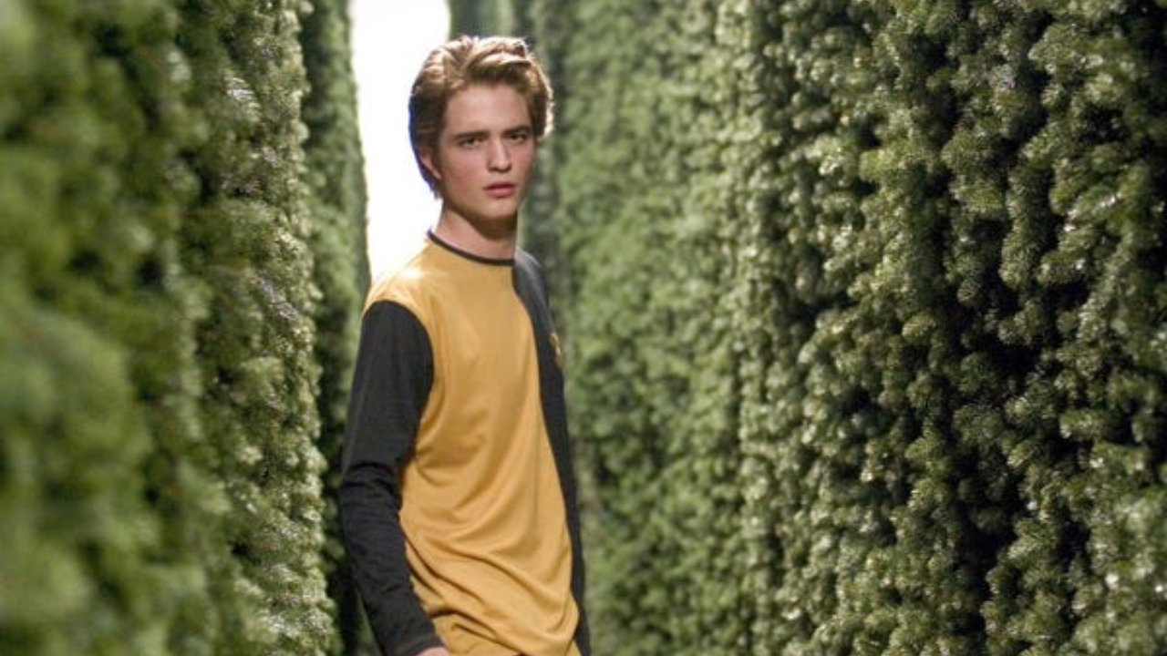 'Twilight'-regisseur ging cast 'Harry Potter' af om 'haar' Edward te ...